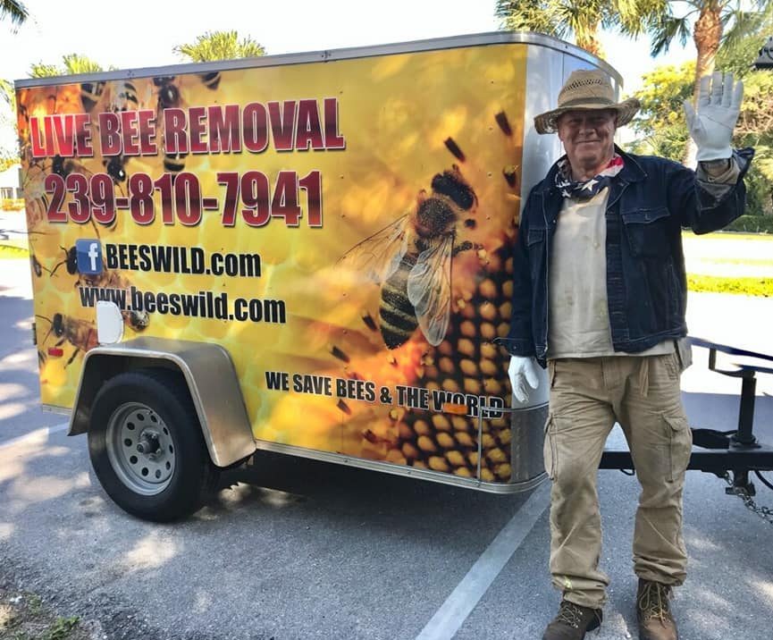 The Sticky Truth: Organic Honey Does Not Exist - BEESWILD.COM LLC - We ...